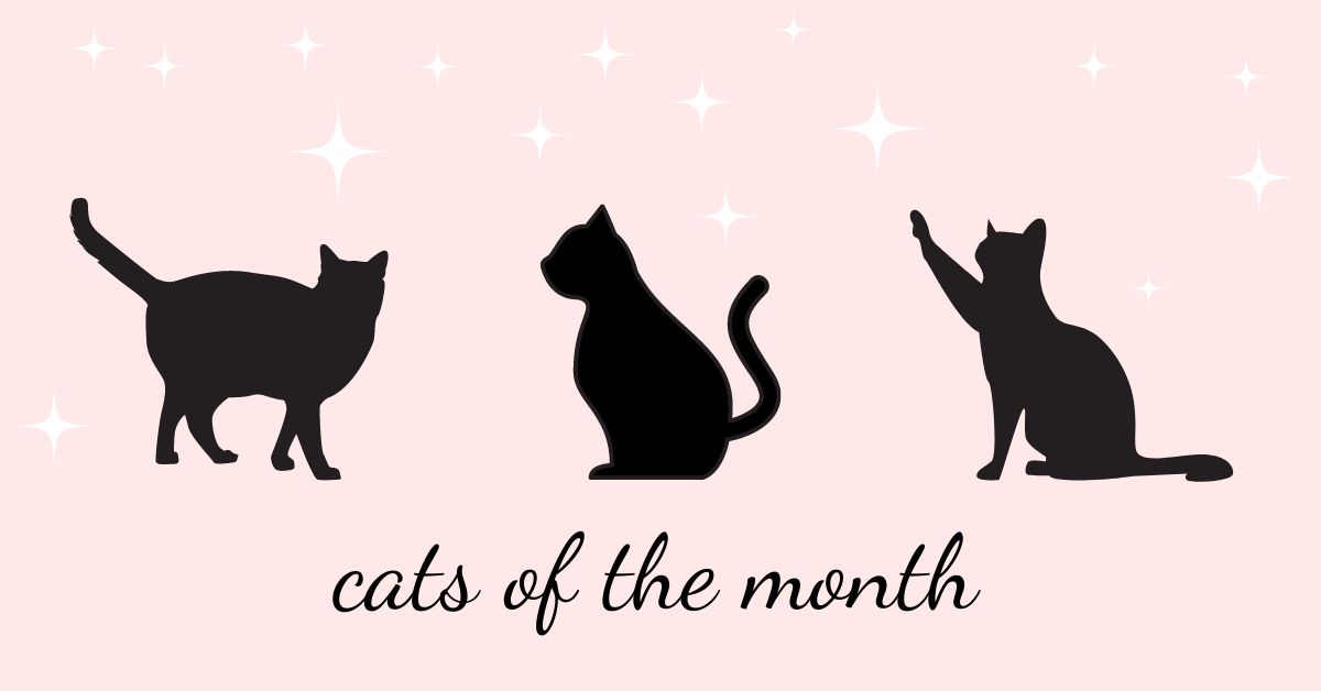 - Catharine's Blog